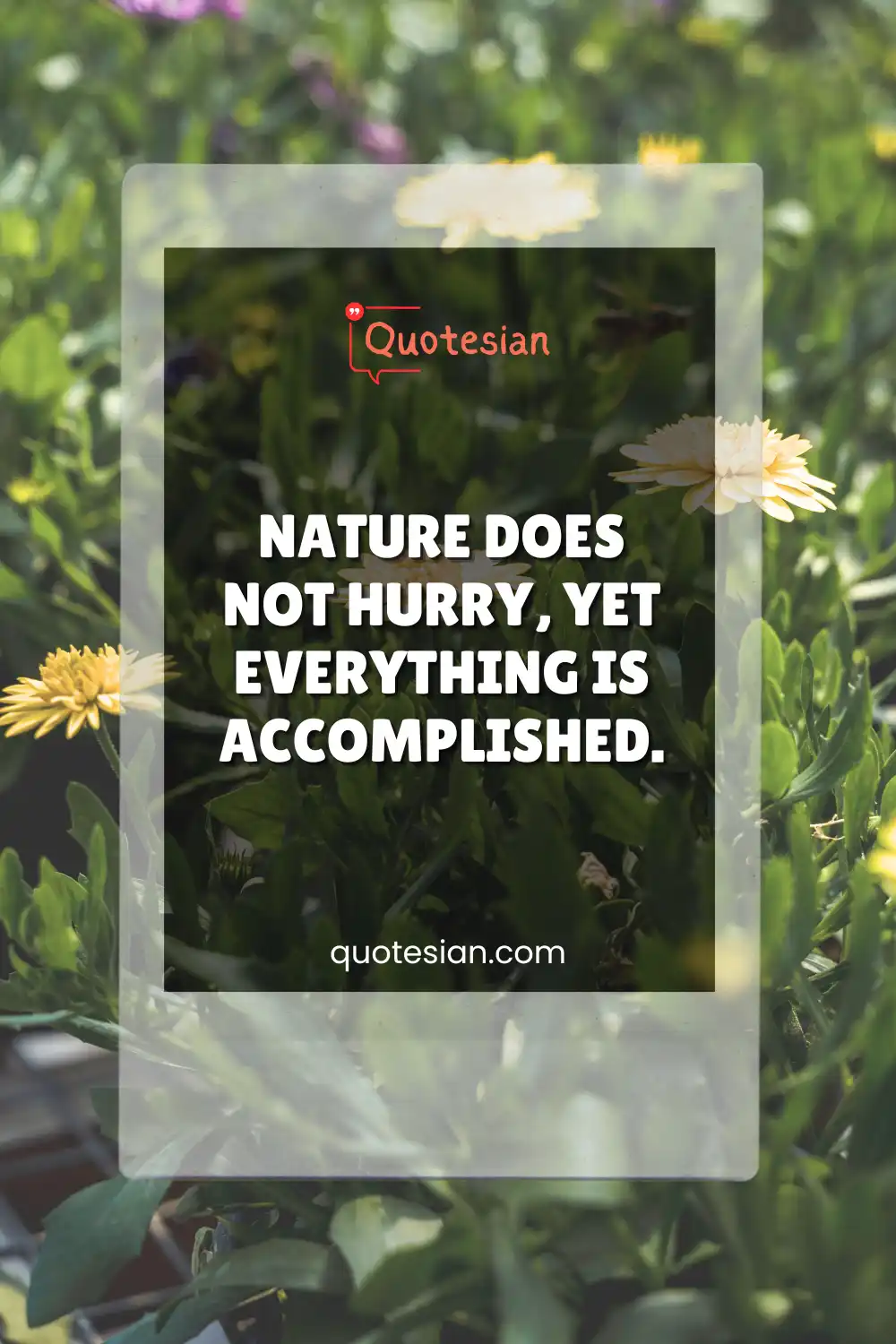 Inspiring Nature Quotes To Celebrate The Beauty Around You Quotesian