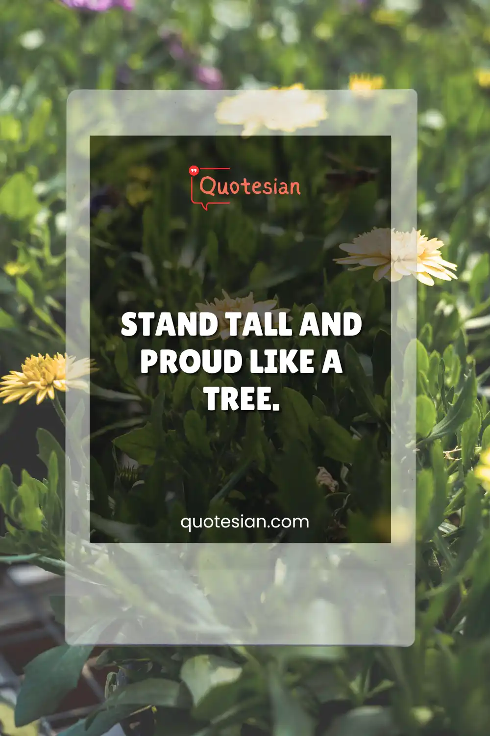 Timeless Tree Quotes To Inspire Strength And Growth Quotesian